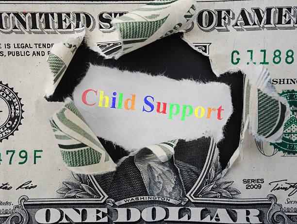 Understanding Child Support in Cases of Joint or Shared Custody ...